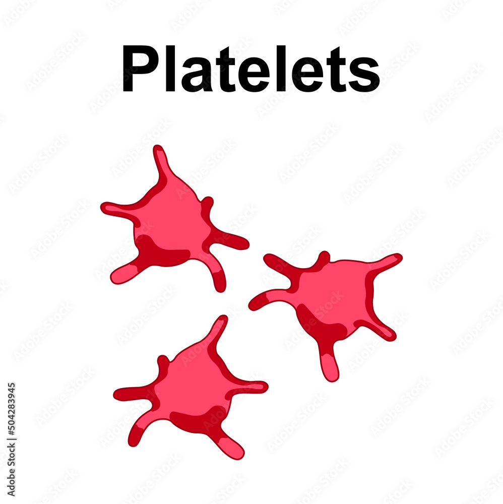 Scientific Designing of Platelets. The Blood Cell Structure. Colorful ...