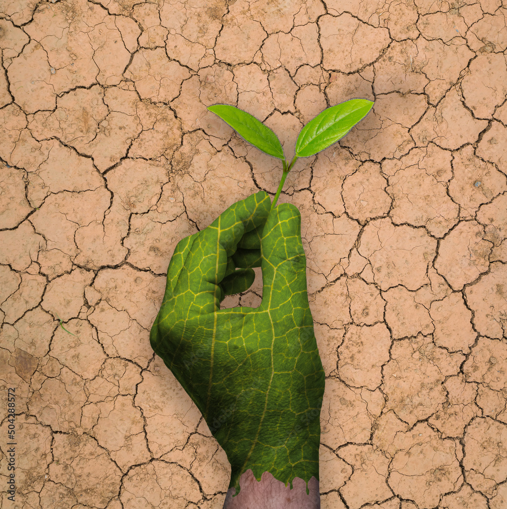Green hand with the texture of a leaf holds a sprout. Background with ...