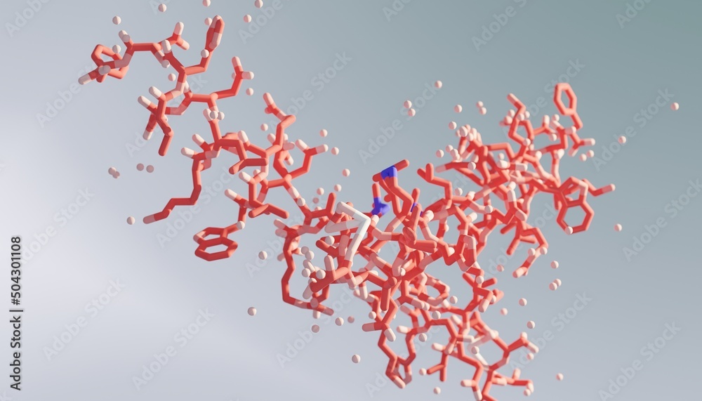 Human parathyroid hormone molecule, chemical structure. 3d licorice ...