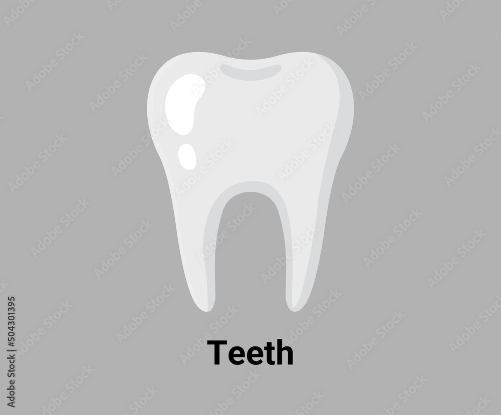 tooth illustration set. human, body Vector drawing. Hand drawn style ...