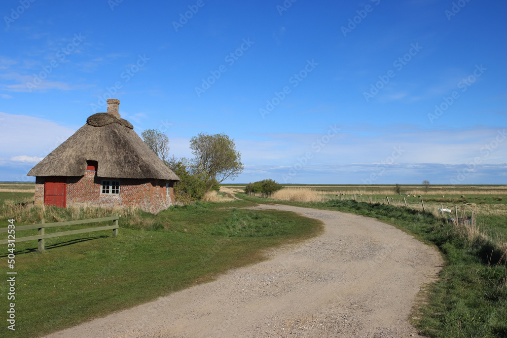 Field path to the old Toftum school on the Danish island of Rømø ...