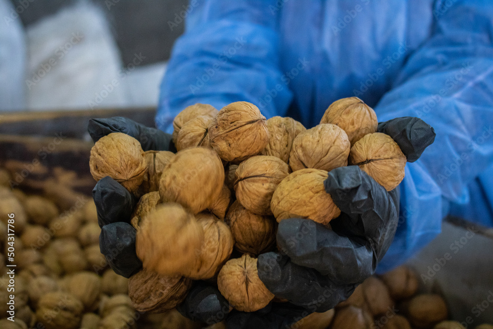 Nueces Stock Photo | Adobe Stock