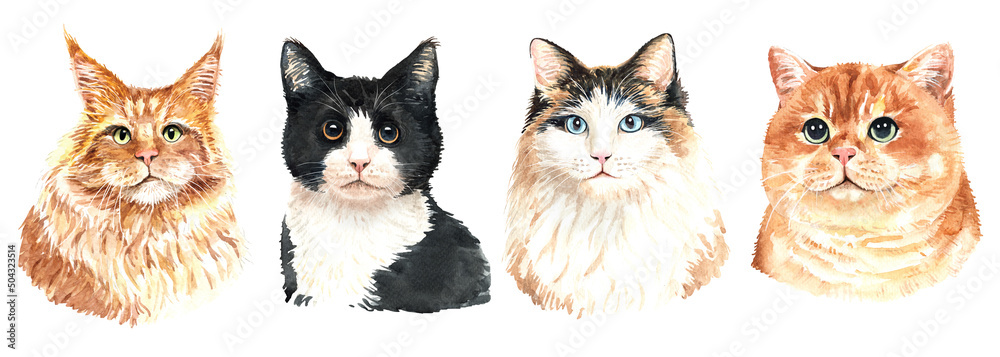 Set of watercolor portraits of 4 cat breeds. Cat watercolor ...