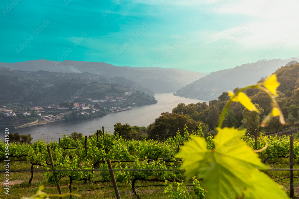 Douro valley in wine region with the famous douro river. Portugal Stock ...