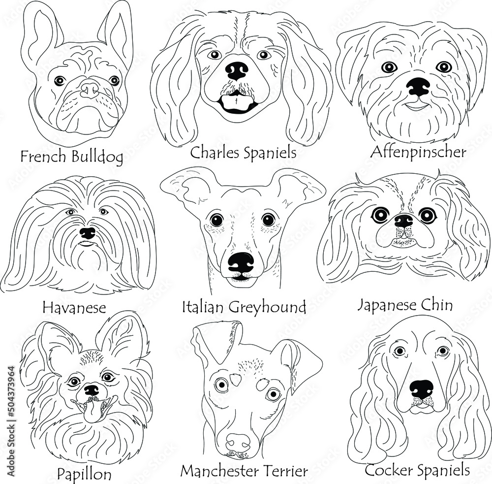 Dog Breeds Minimalist Line Art Style. Hand drawn set various dogs ...