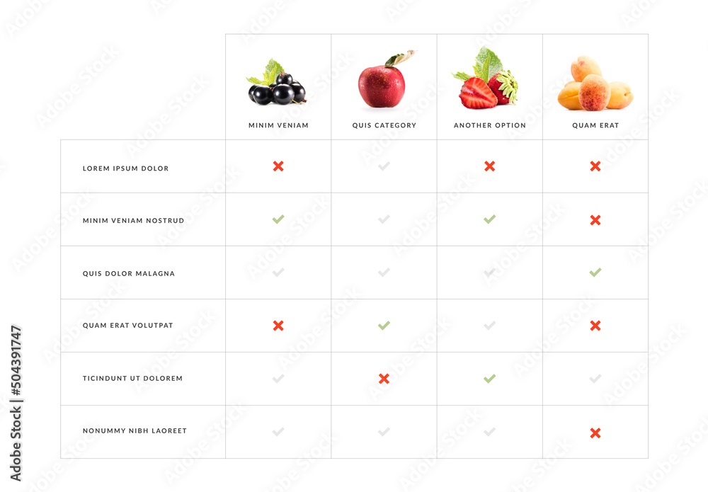 Infographic Table Layout With Photo Placeholder Categories Stock