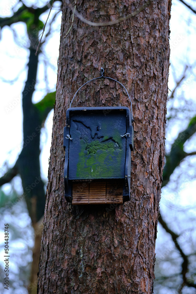 Modern design bat house made of wood and concrete with a drawing of a ...