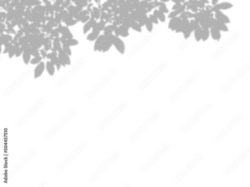 Foto de Botanic shadows overlay, Photoshop overlay, Plant tree flower ...