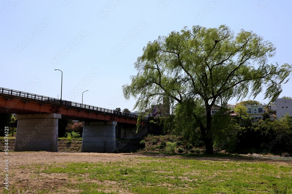 Tsunogoro, Sendai City,.Nature around Yodomi Bridge and Hirose River ...