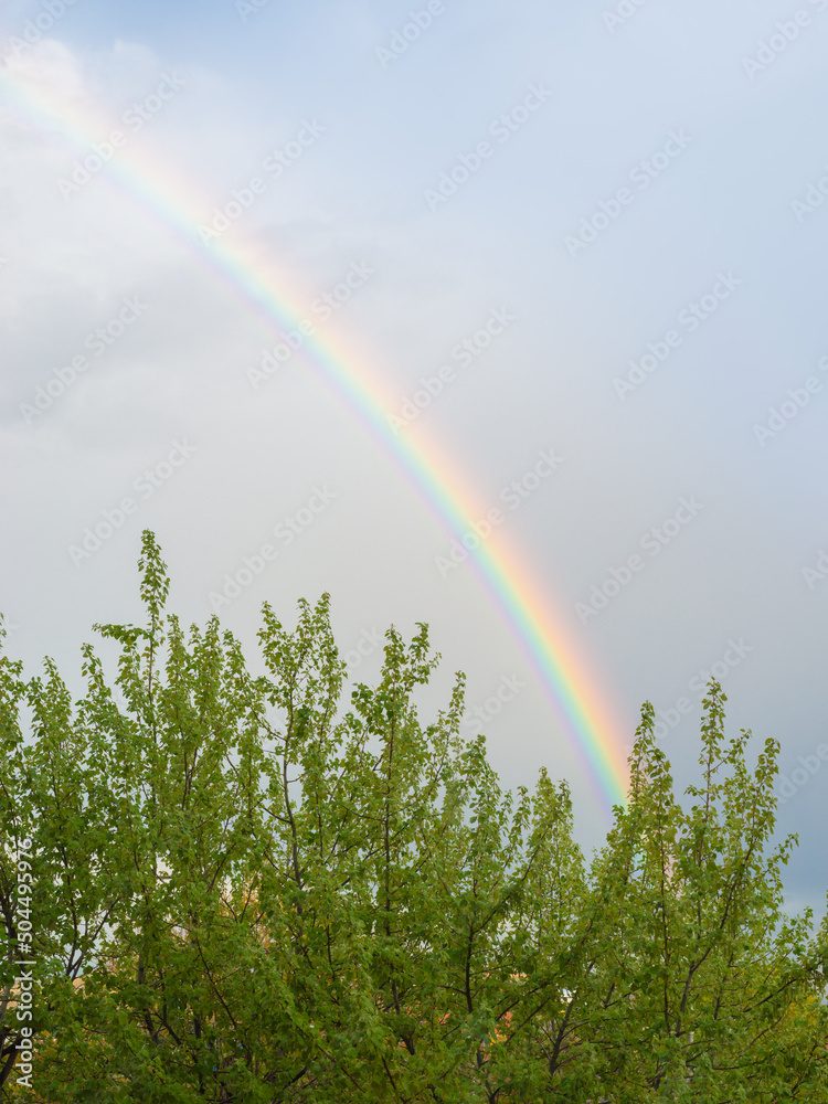 Rainbow and trees Stock Photo | Adobe Stock