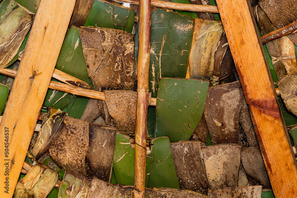 Texture of a roof built with agave leaves supported with wood foto de ...