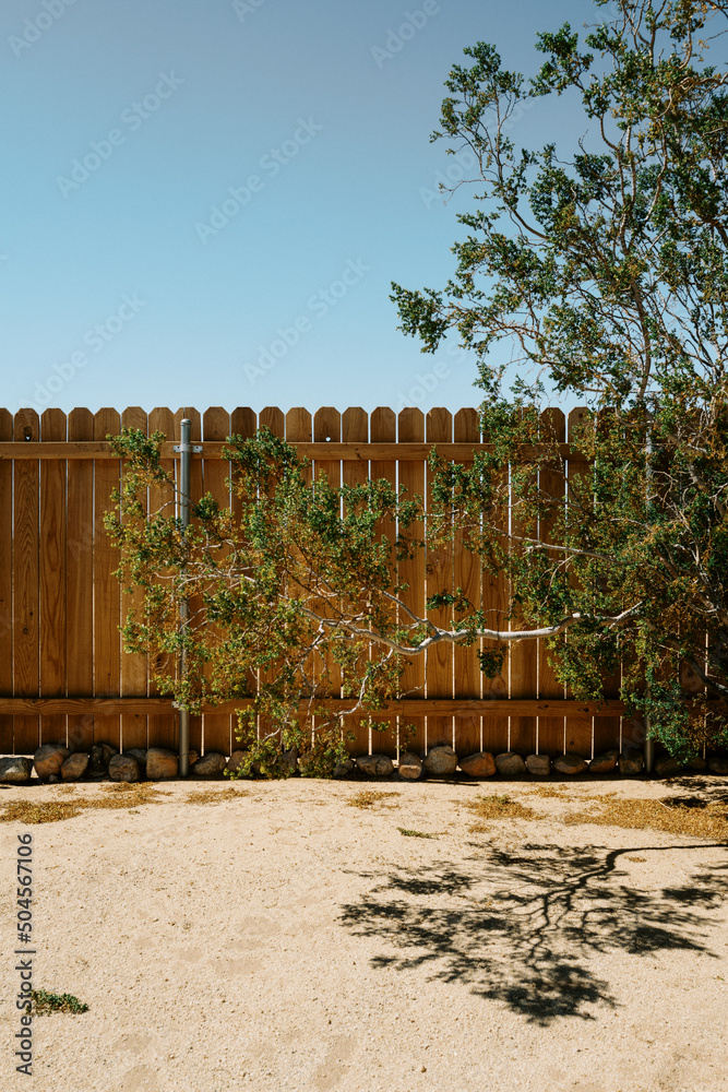 Tree and a fence Stock Photo | Adobe Stock