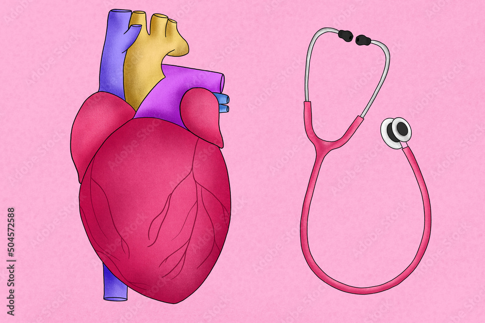 Human heart and stethoscope illustration Stock Photo | Adobe Stock