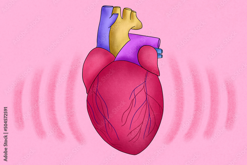 Human beating heart illustration Stock Photo | Adobe Stock