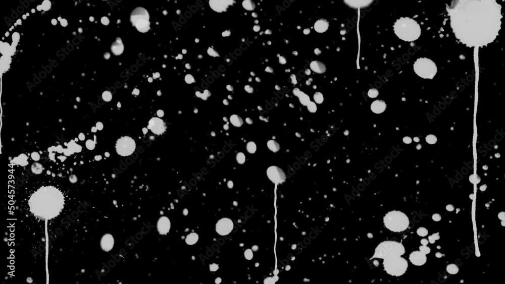 Paint splash animation on black background 4k footage, Splash animation ...