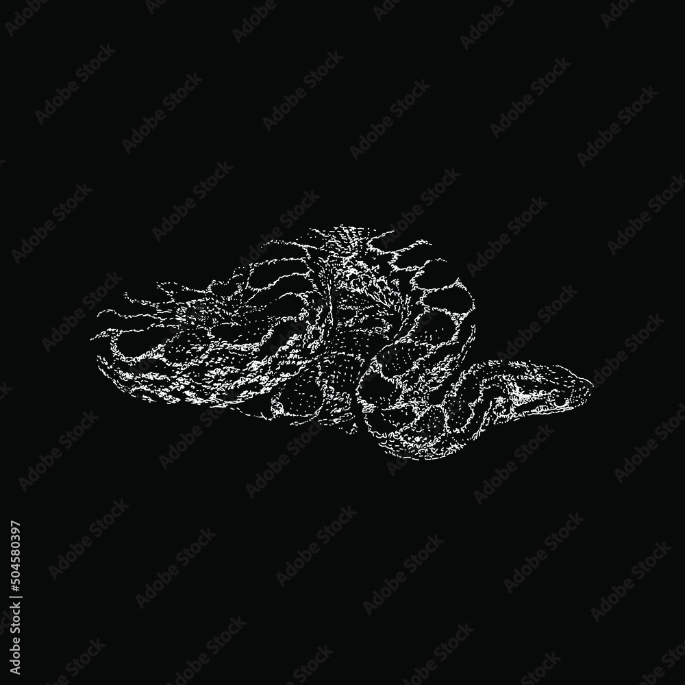 yellow anaconda snake hand drawing vector illustration isolated on ...