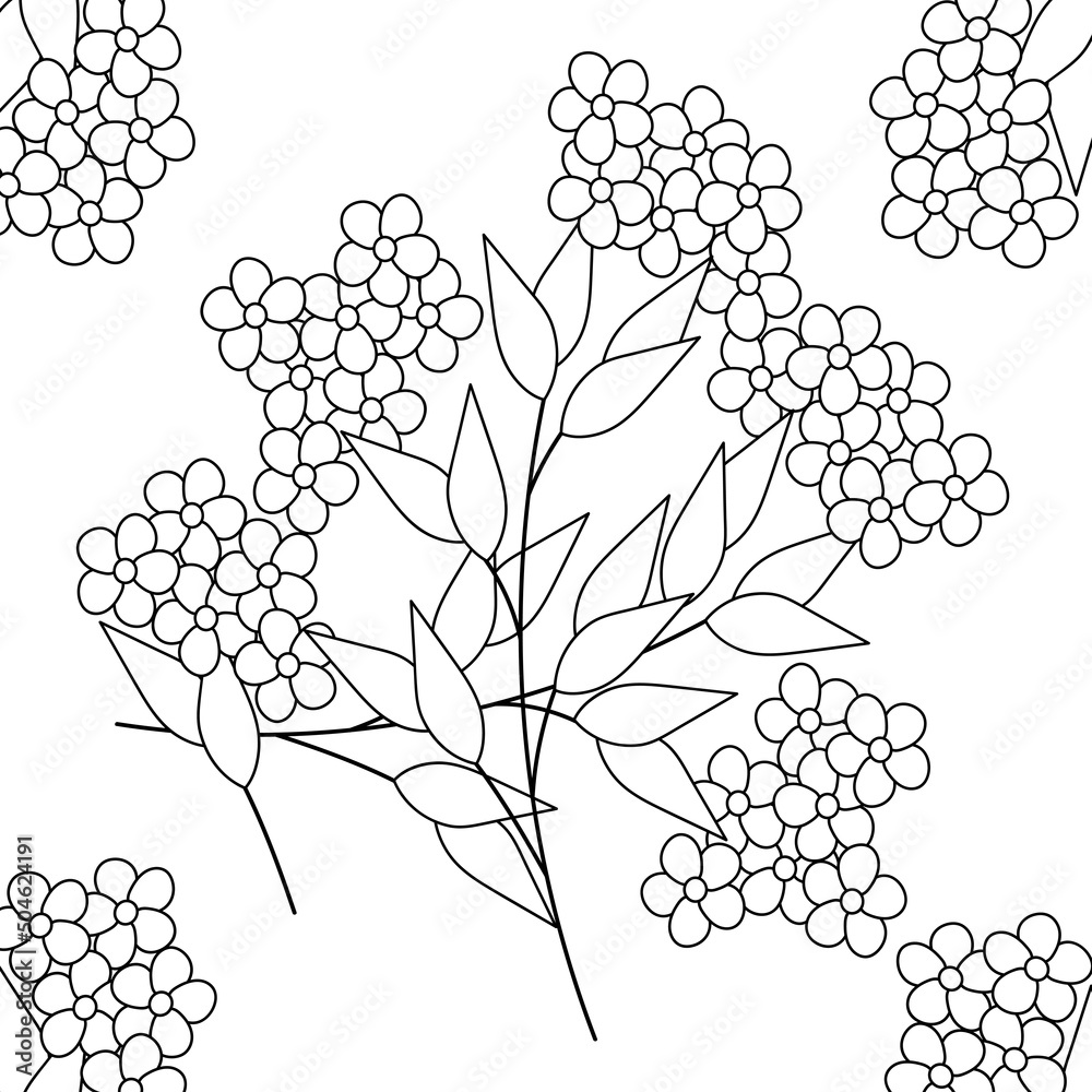 Coloring book page Forget-me-nots. Stylized Vector botanical ...