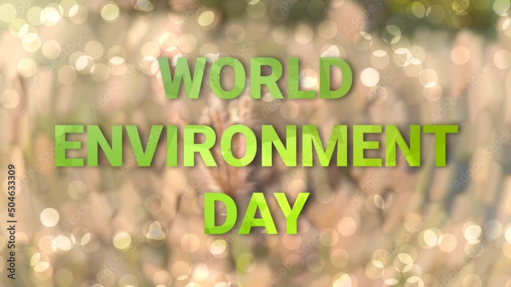 Vidéo Stock World environment day word line isolated on natural grass ...