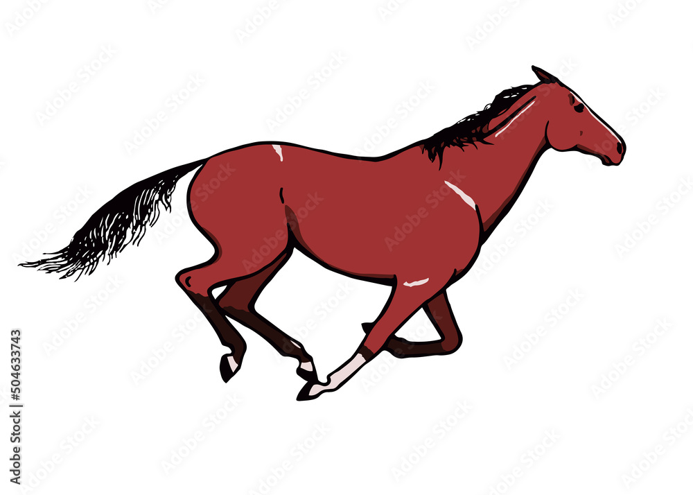 Galloping horse or mustang. Bay color coat pony running. Equine gallop ...