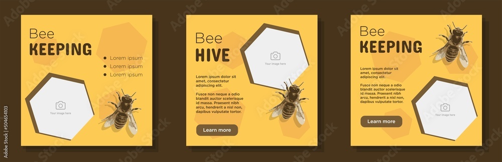 Vecteur Stock Bee keeping social media post, banner set, save the bees ...