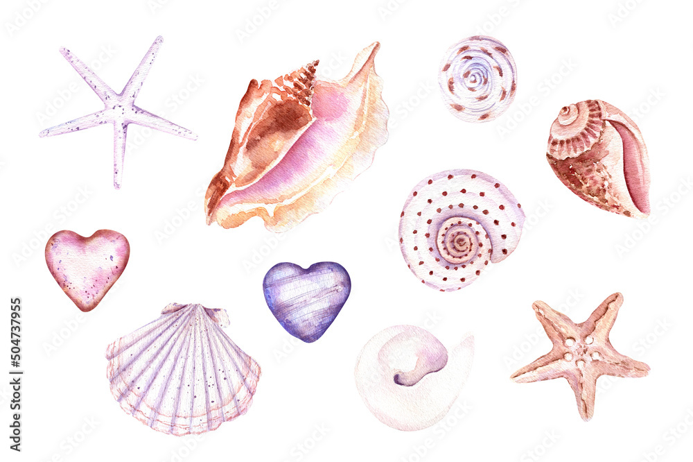 Watercolor clipart with sea shells, starfish and stones. Summer ...