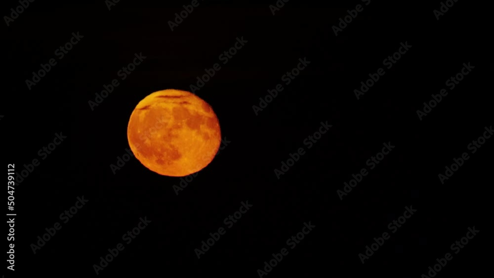 A full blood red moon is floating against the black sky. Time lapse ...