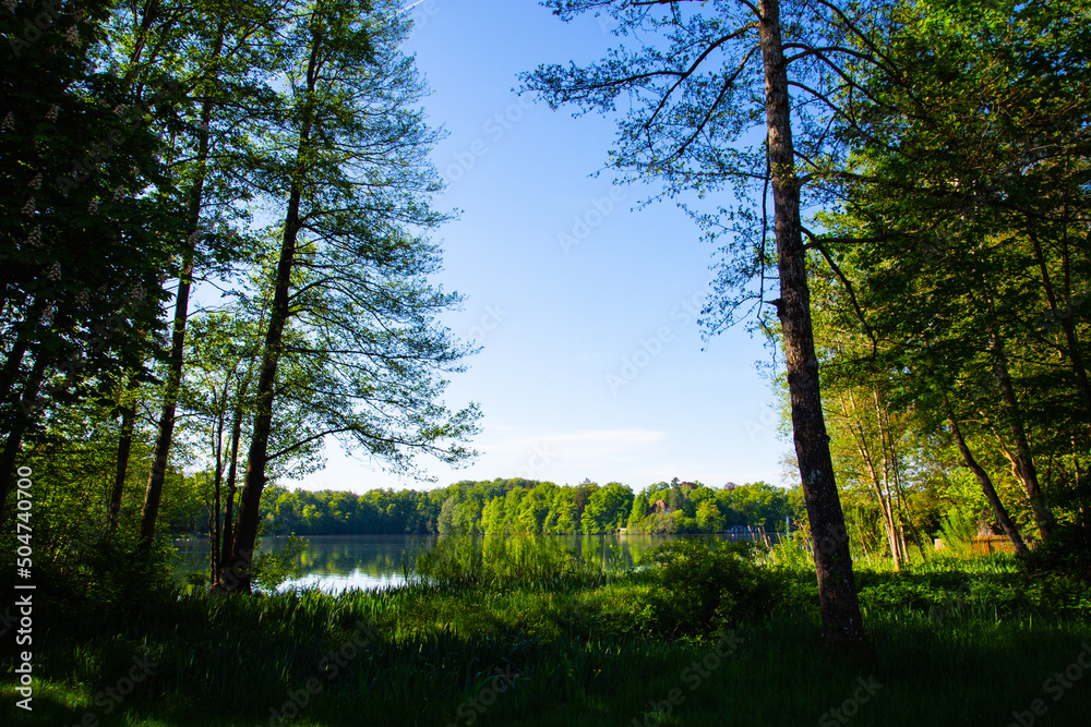 Wesslinger See in Bavaria, nature reserve and biotope Stock Photo ...