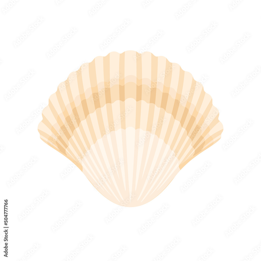 Scallop seashell isolated on white. Vector flat cartoon illustration ...