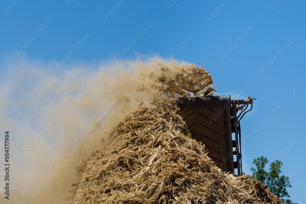 Wood roots crush chipper process by conveyor belt to wood chipping ...
