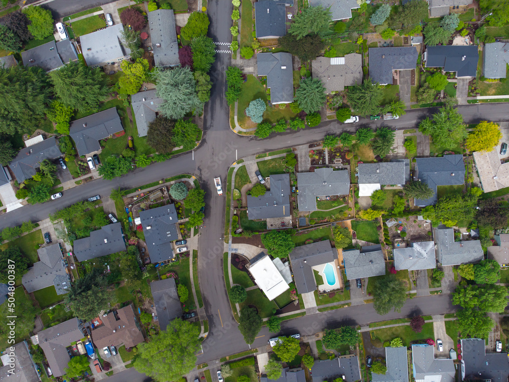 Aerial view. Picturesque small town, suburb. A lot of greenery ...