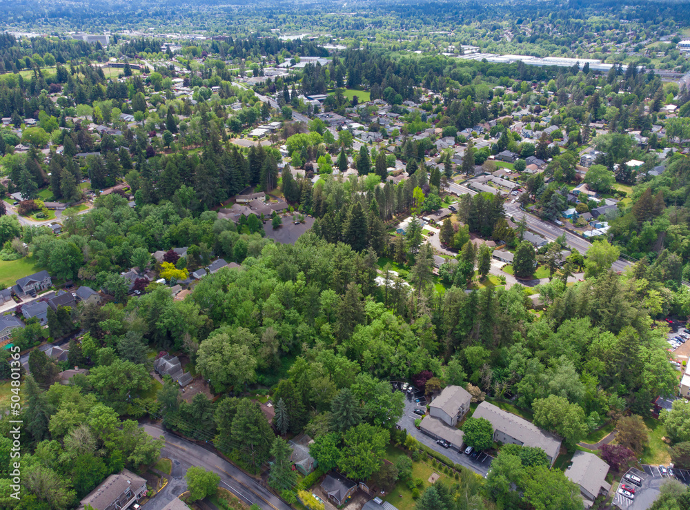 Aerial view. Picturesque green town. The roofs of small houses, paved ...