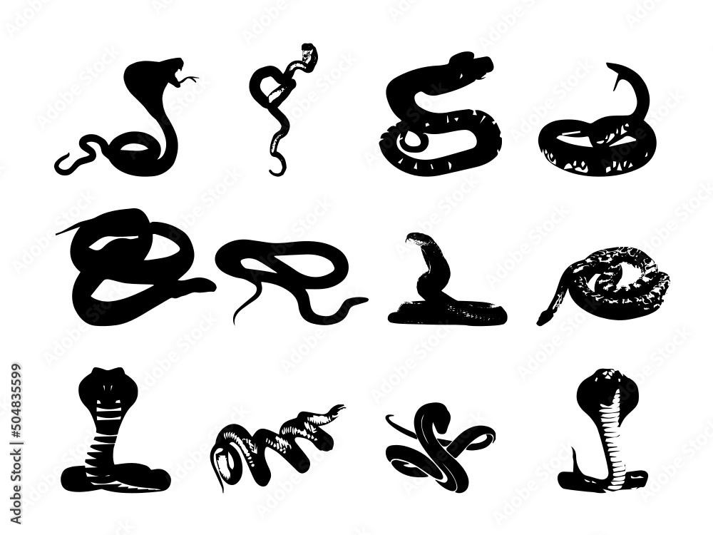 Snake Vectors & Illustrations.Snake Vector Art, Icons, and Graphics ...