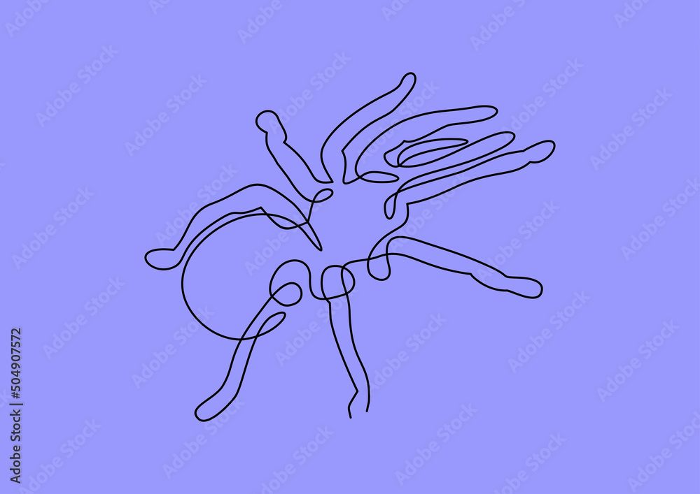 spider tarantula vector -continuous line drawing Stock Vector | Adobe Stock