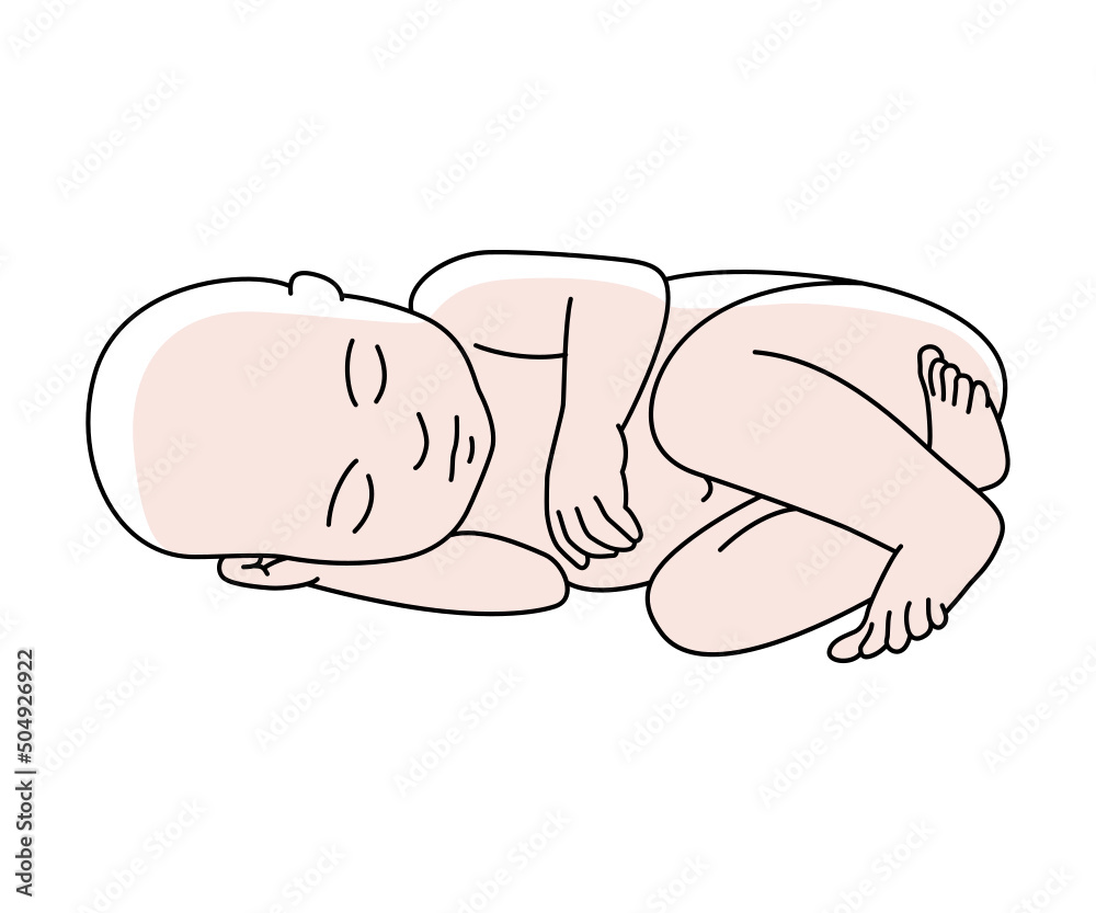 Newborn baby clipart. Embryo, fetus vector illustration. New baby line ...