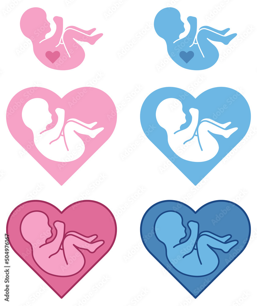 Baby Fetus in a Heart Clipart Set - Pink and Blue Gender Reveal Stock ...