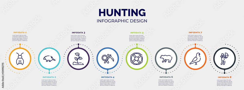 infographic for hunting concept. vector infographic template with icons ...