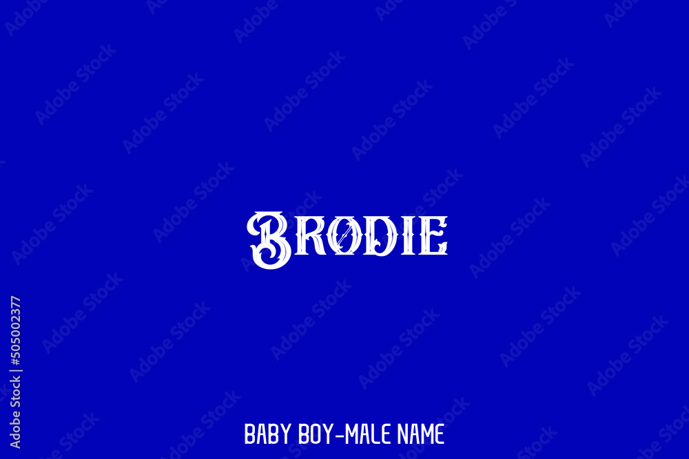 Man Name " Brodie " Bold Text Typographic Lettering Stock Vector ...