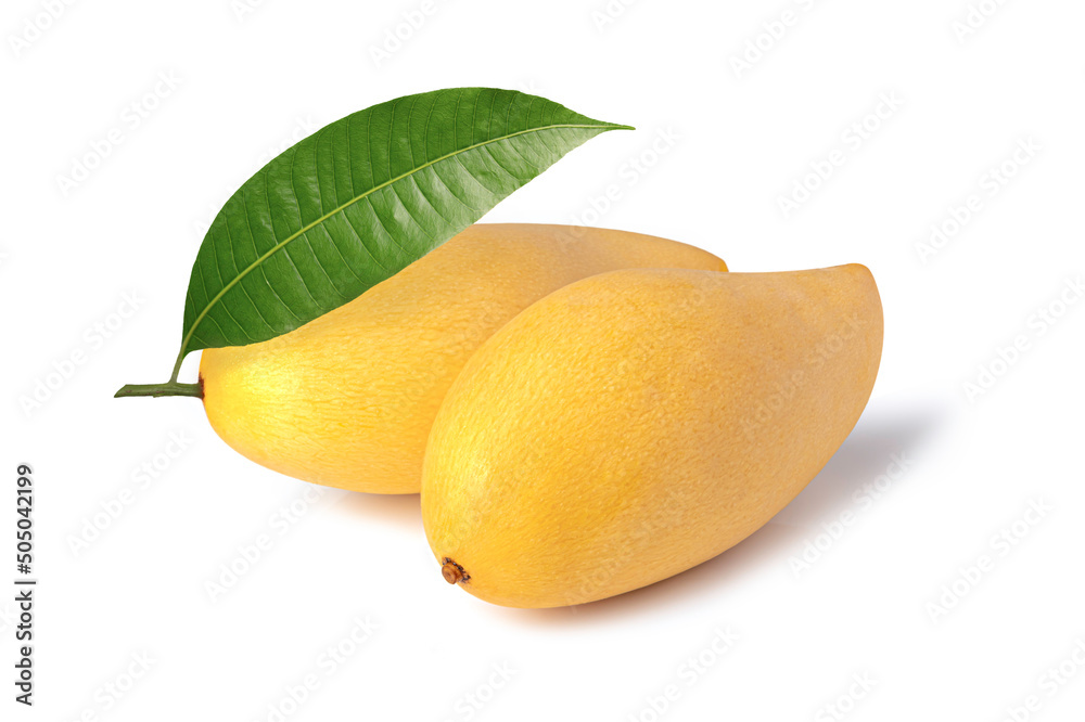 Ripe yellow mango with green leaves isolated on white background. Stock ...