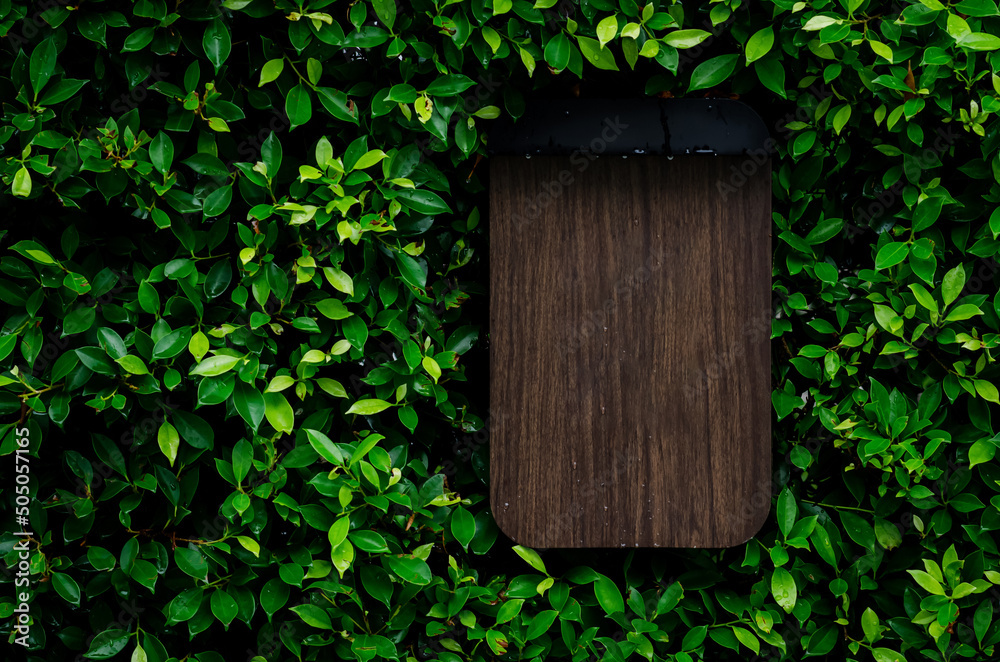 Wooden sign with empty space for word stand with bush of green leaves ...