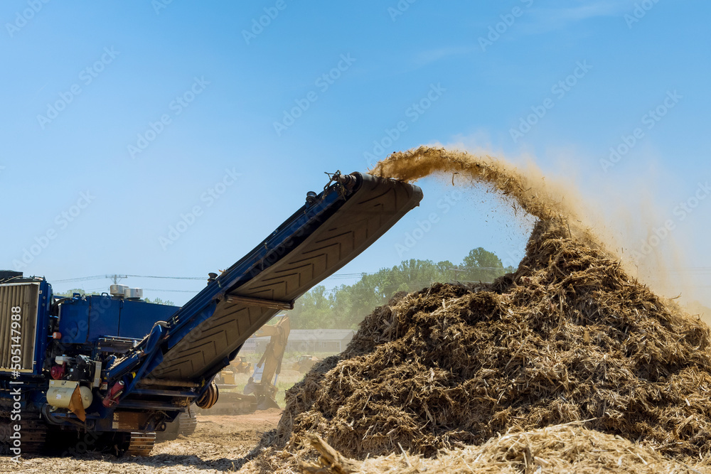 Foto de Industrial shredder machine an work conveyor the roots ...