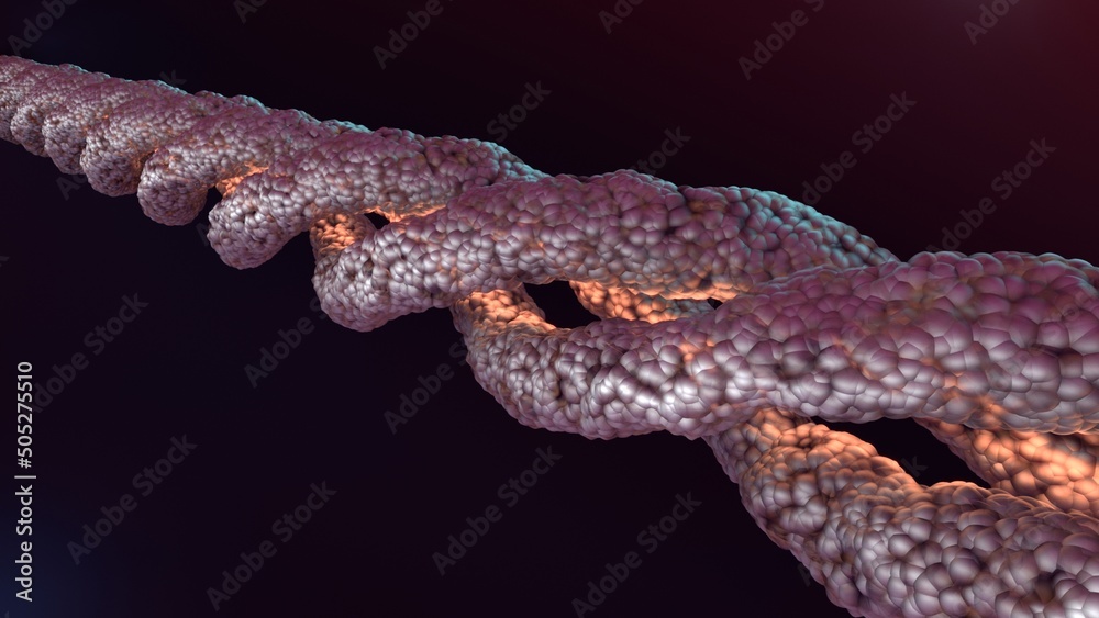 Model of collagen fibers molecule. 3D render of amino acids triple ...