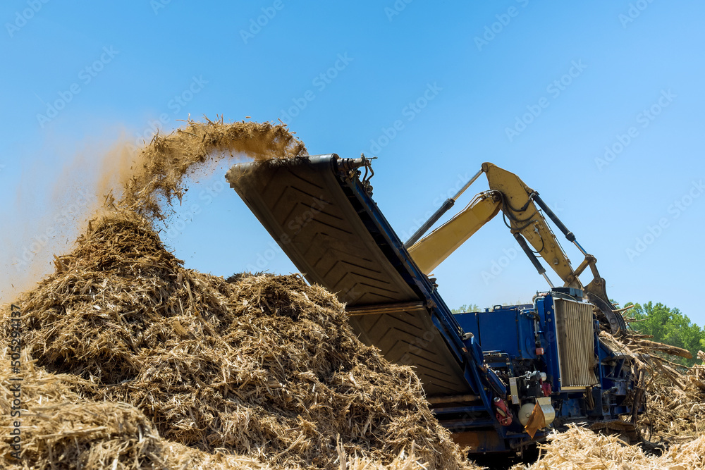 Work conveyor of an industrial wood shredder producing wood chips from ...