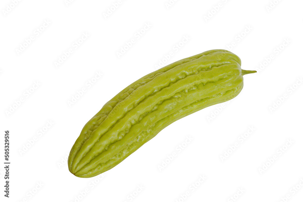 bitter gourd on a white background Stock Photo | Adobe Stock