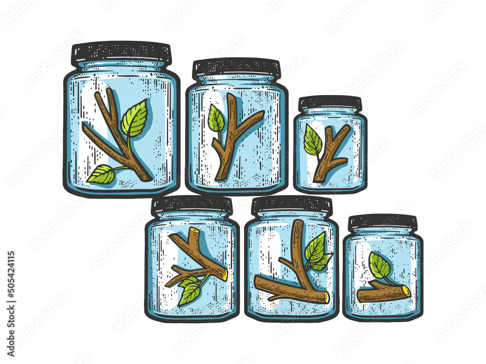 Tree is divided into parts in glass jars. Modern Art. Tinned tree ...
