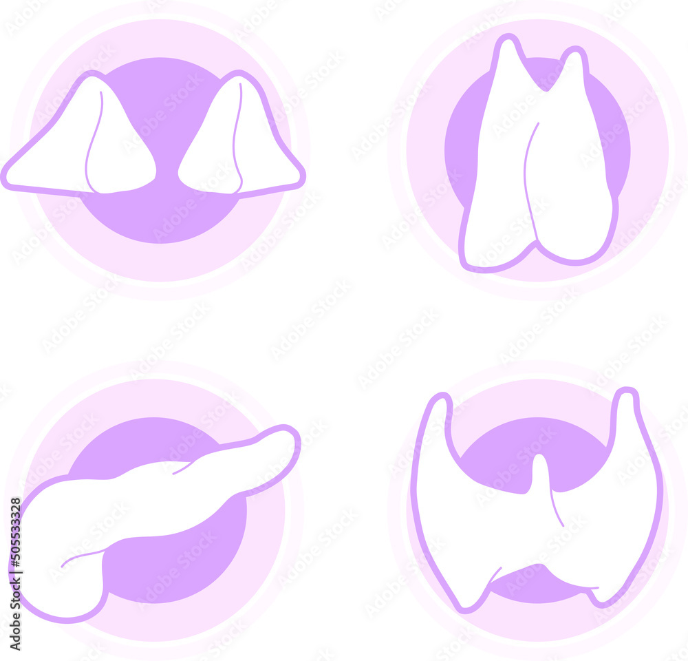 Set of vector icons of different human glands, such as thyroid ...