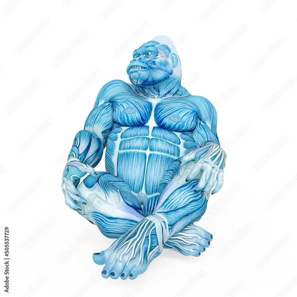 gorilla is doing a sitting pose on muscle map anatomy style Stock ...