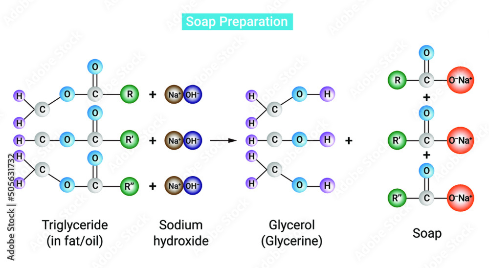 Soap Preparation: Atomic representation of Saponification reaction ... Soap Preparation: Atomic representation of Saponification reaction ...