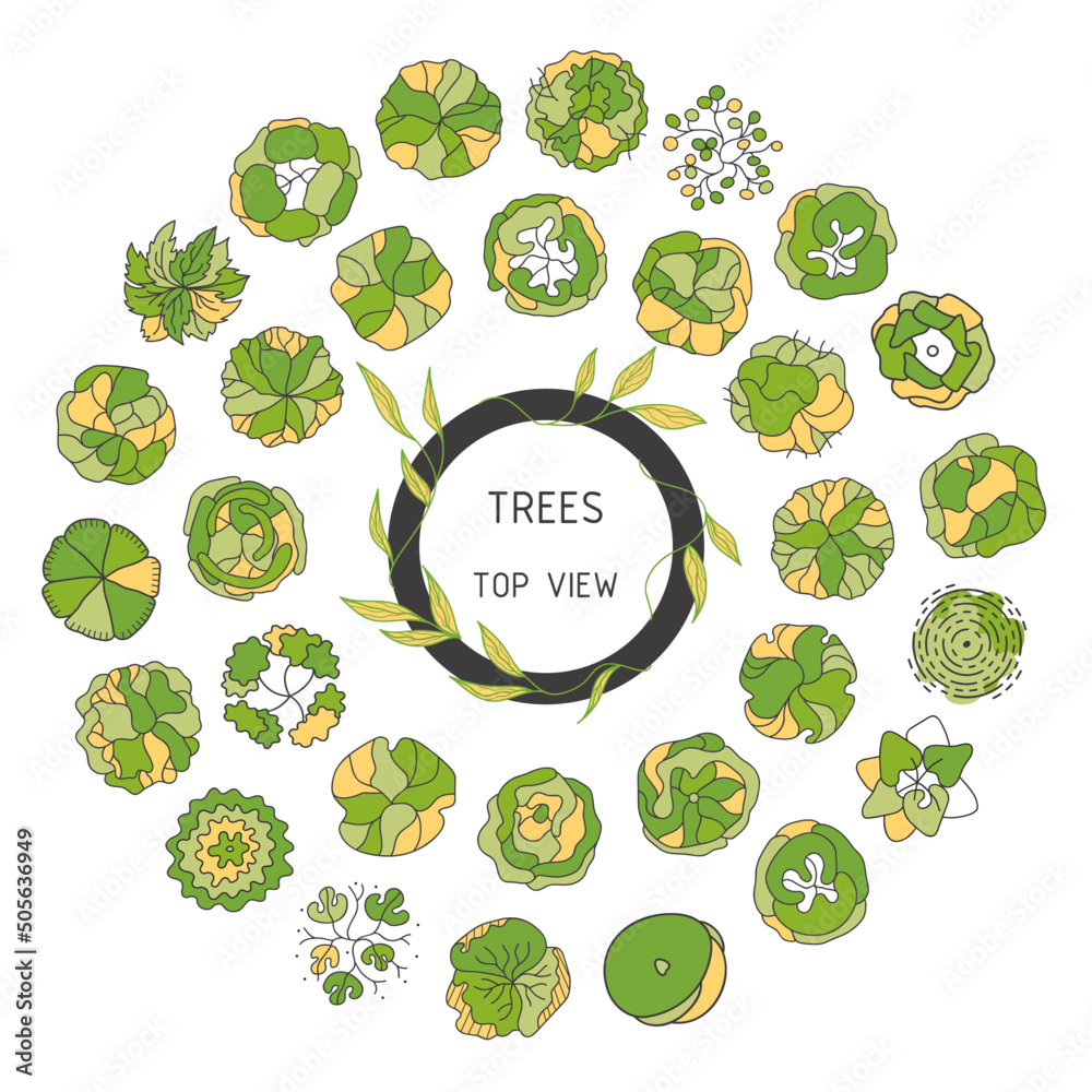 Trees for the master plan. Tree plans for architectural floor plans or ...