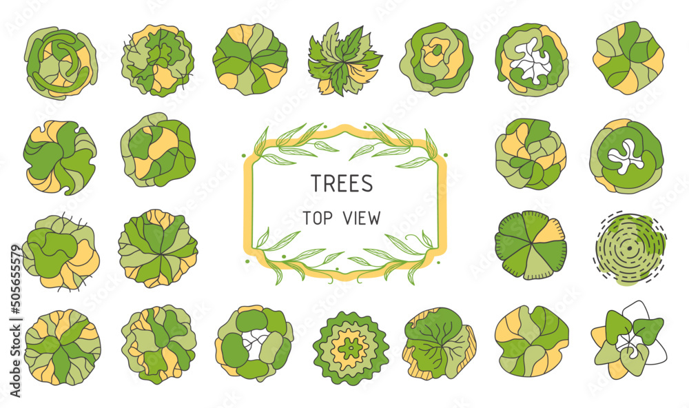 Tree for architectural floor plans. Entourage design. Various trees ...
