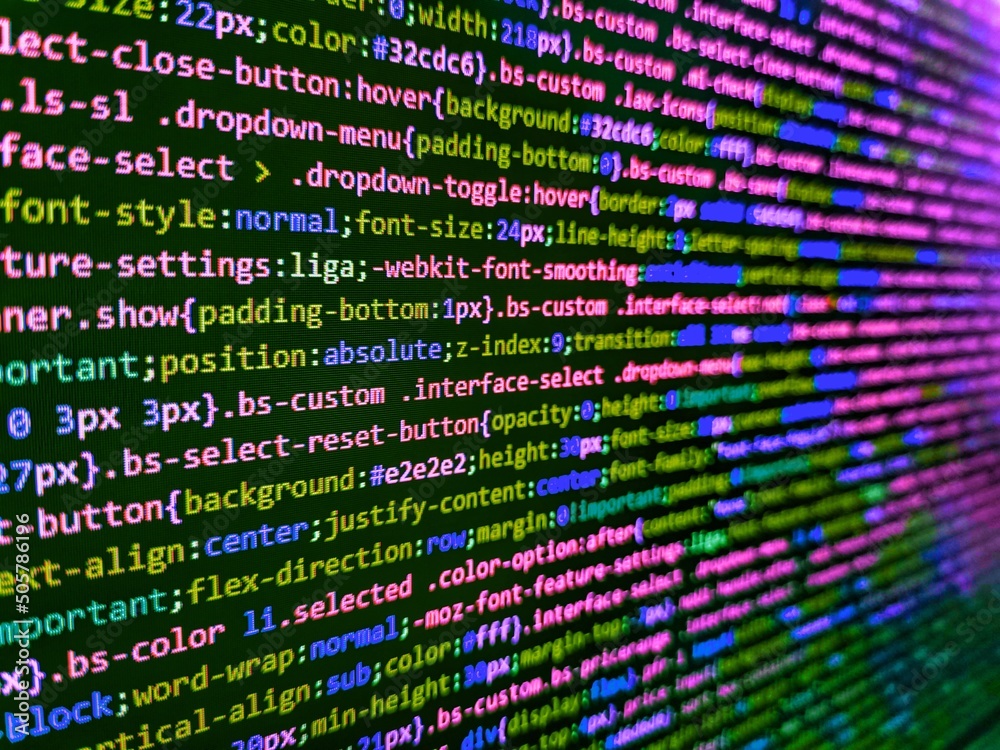 Programmer Working In A Software Develop Company Office Screen Of Web